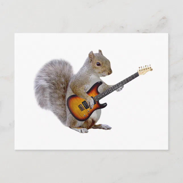 Squirrel Guitar Postcard | Zazzle