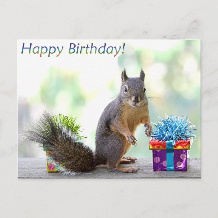 Squirrel Happy Birthday! Postcard | Zazzle