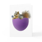 Squirrel in Eggshell Card | Zazzle