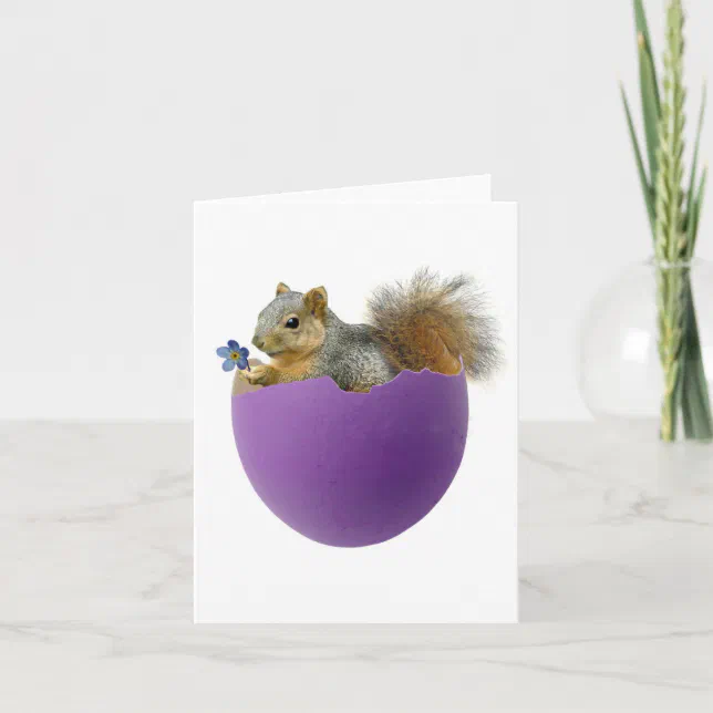 Squirrel in Eggshell Card | Zazzle