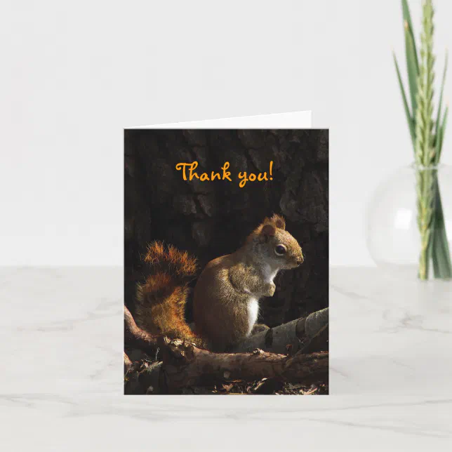 Squirrel in Sunlight Thank You | Zazzle
