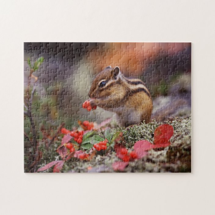 Squirrel Jigsaw Puzzle | Zazzle.com