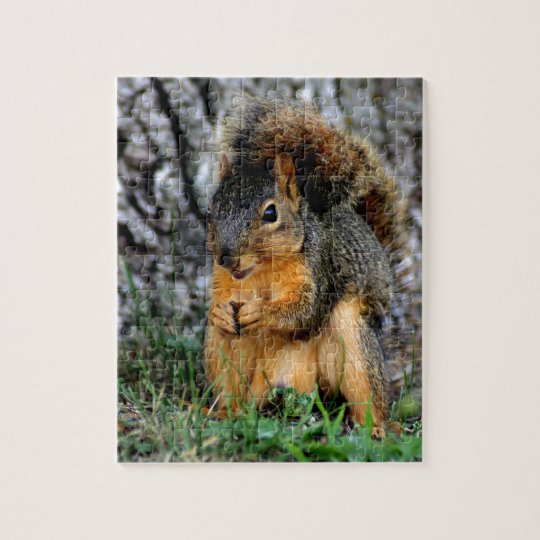 Squirrel Jigsaw Puzzle | Zazzle.com