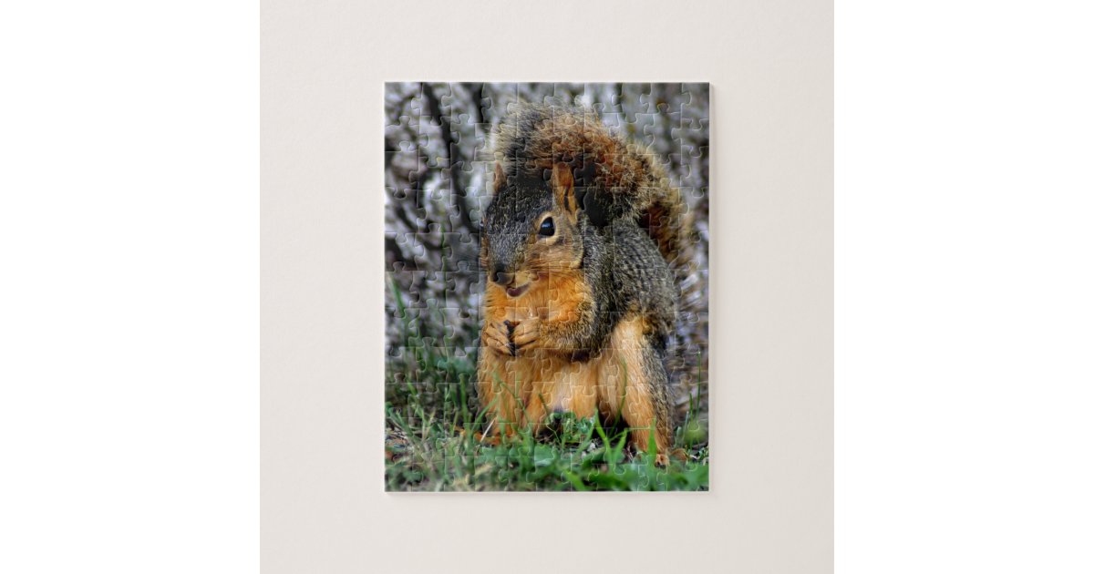 Squirrel Jigsaw Puzzle | Zazzle