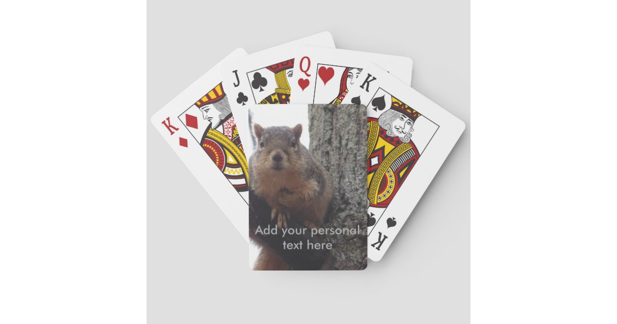 Squirrel looking at your playing cards | Zazzle