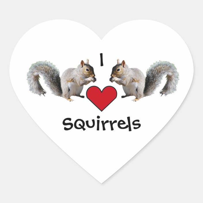 Squirrel Love Heart Sticker | Zazzle.com