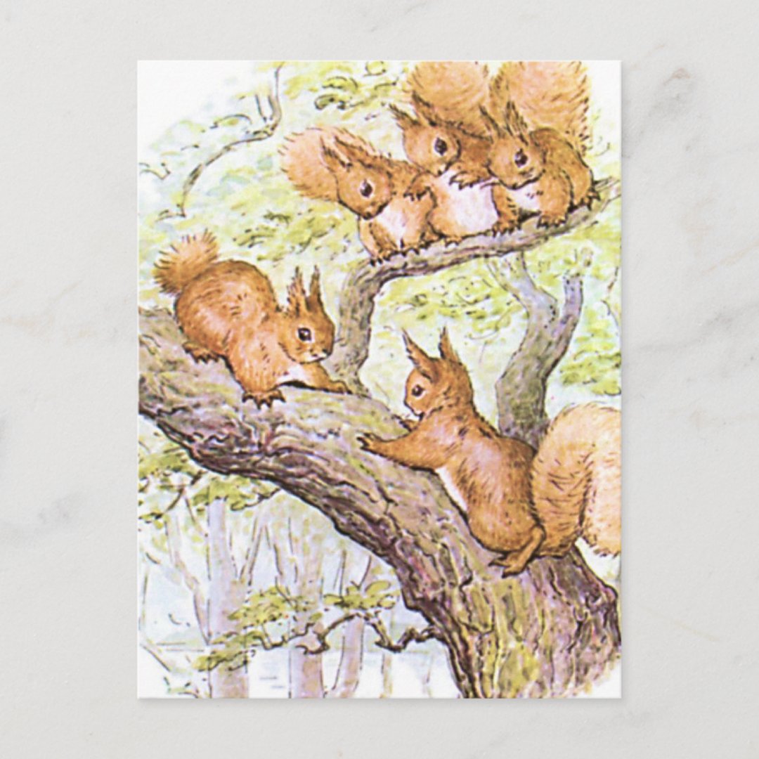 Squirrel Meeting Postcard | Zazzle