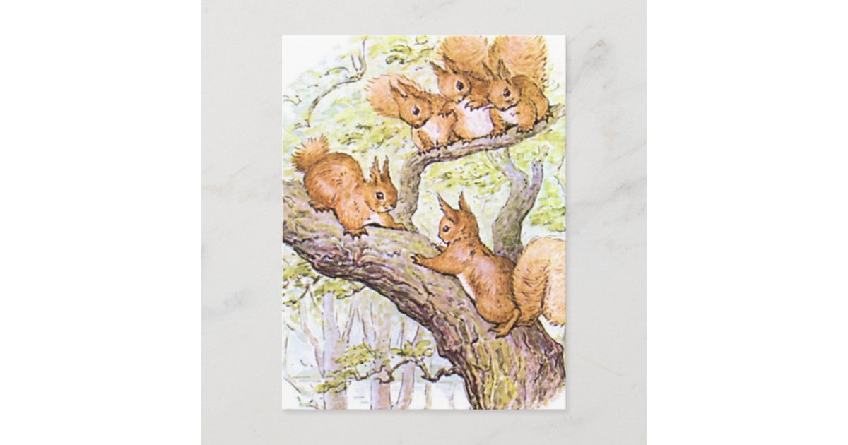 Squirrel Meeting Postcard | Zazzle