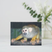 Squirrel Monkey Crouching Postcard | Zazzle
