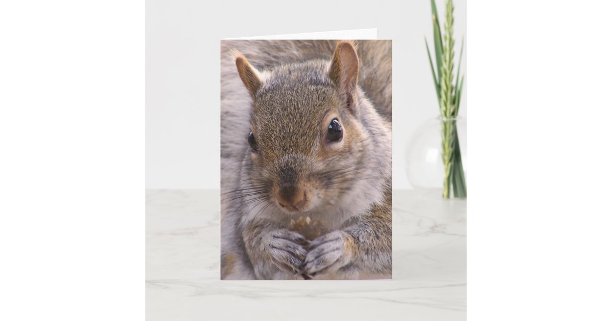 Squirrel note card | Zazzle