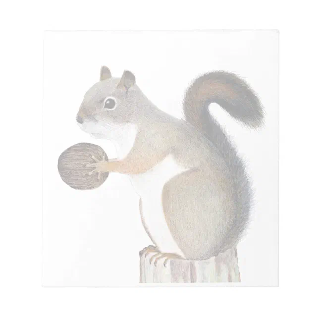 Squirrel Notepad | Zazzle