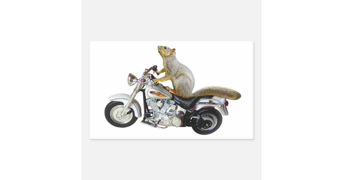Squirrel on Motorcycle Rectangular Sticker | Zazzle
