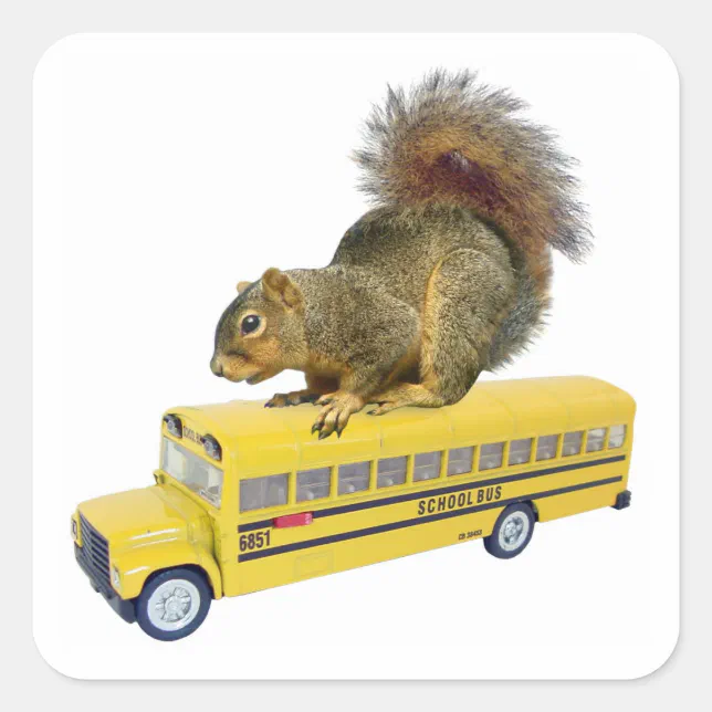Squirrel on School Bus Square Sticker | Zazzle