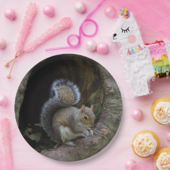 Squirrel Paper Plates | Zazzle