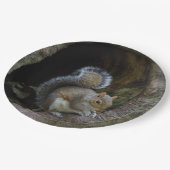Squirrel Paper Plates | Zazzle