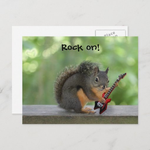 Squirrel Playing Electric Guitar Postcard | Zazzle