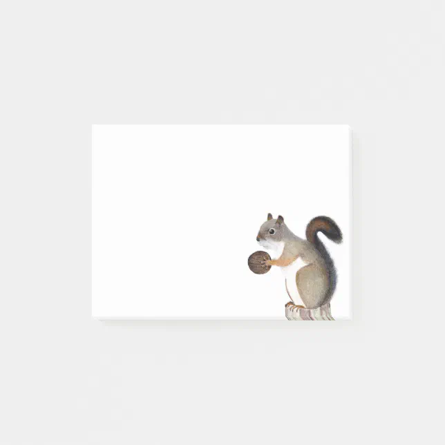 Squirrel Post-it Notes | Zazzle