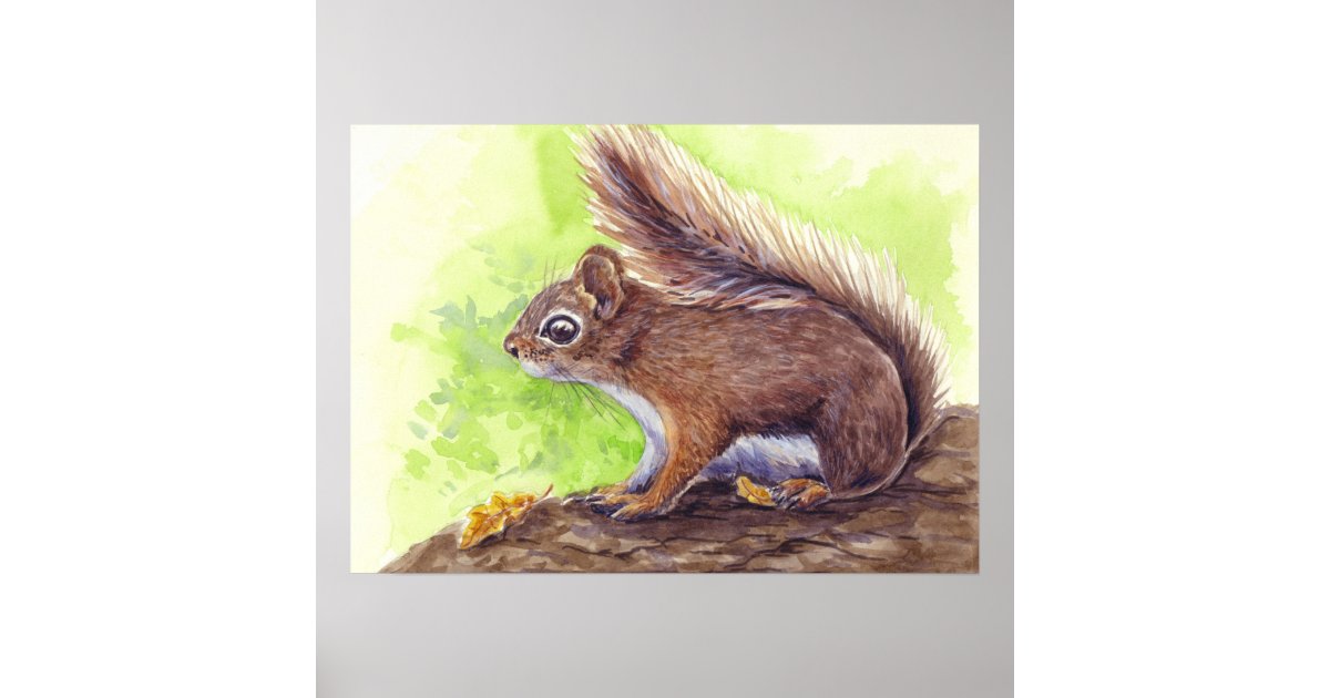 Squirrel Poster | Zazzle
