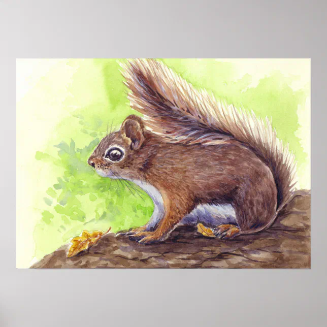 Squirrel Poster | Zazzle