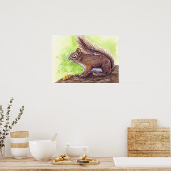 Squirrel Poster | Zazzle