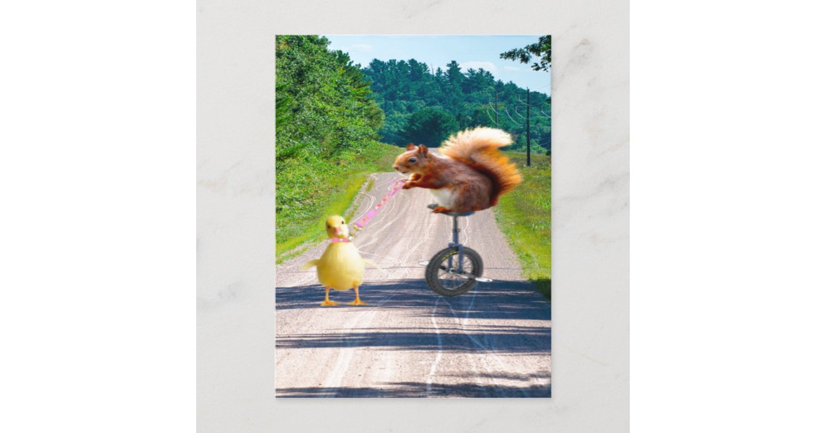 Squirrel Riding Unicycle Walking Duck Postcard | Zazzle.com