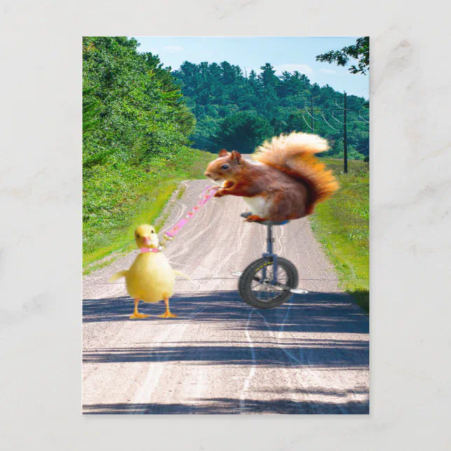 Squirrel Riding Unicycle Walking Duck Postcard | Zazzle