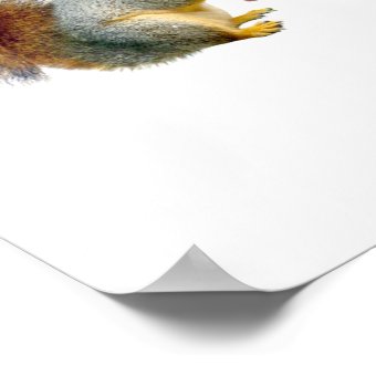 Squirrel School Poster | Zazzle