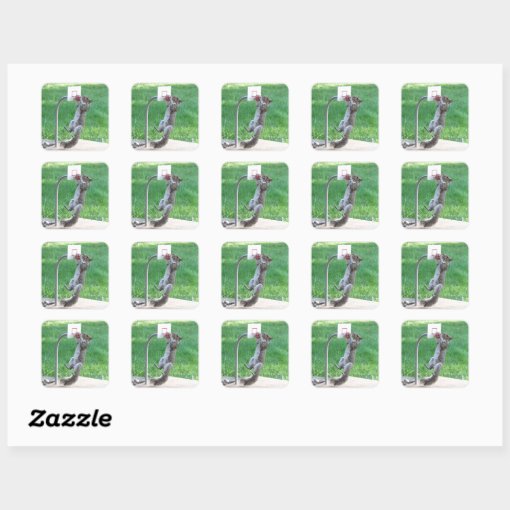 Squirrel Slam Dunk Square Sticker | Zazzle