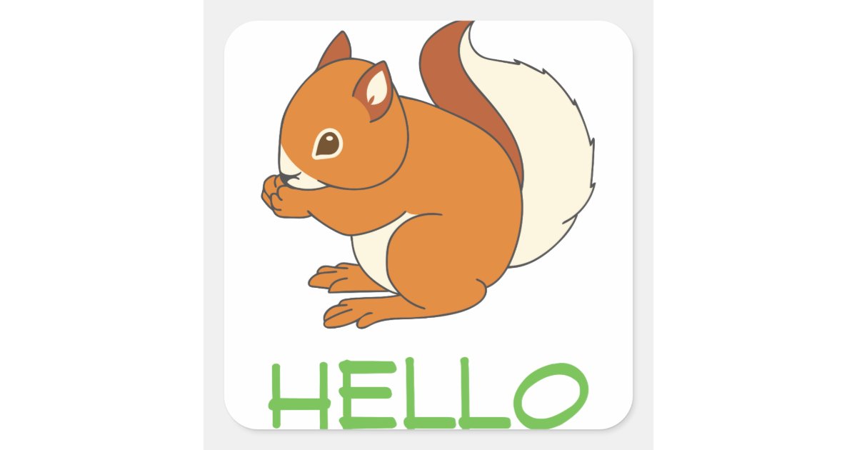 Squirrel Square Sticker | Zazzle