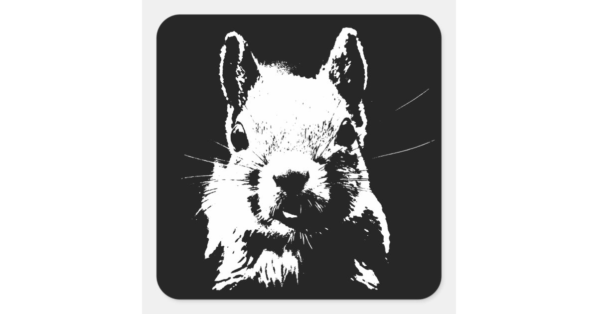 Squirrel Square Sticker | Zazzle