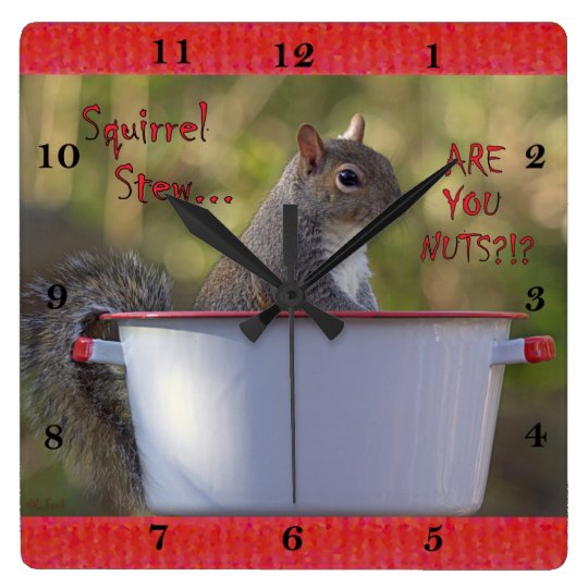 Squirrel Stew ... ARE YOU NUTS?!? Square Wall Clock | Zazzle.com
