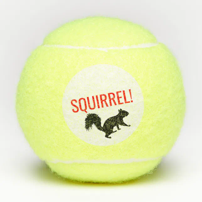 Squirrel tennis balls-set of 3 tennis balls | Zazzle