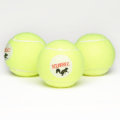 Squirrel tennis balls-set of 3 tennis balls | Zazzle