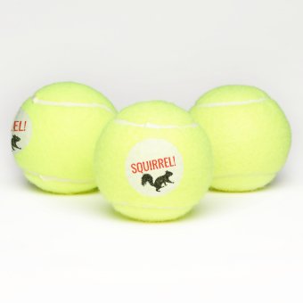 Squirrel tennis balls-set of 3 tennis balls | Zazzle