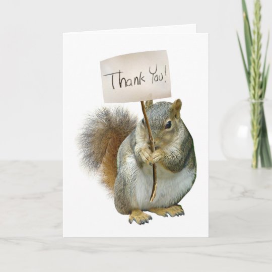 Squirrel Thank You Card | Zazzle.com