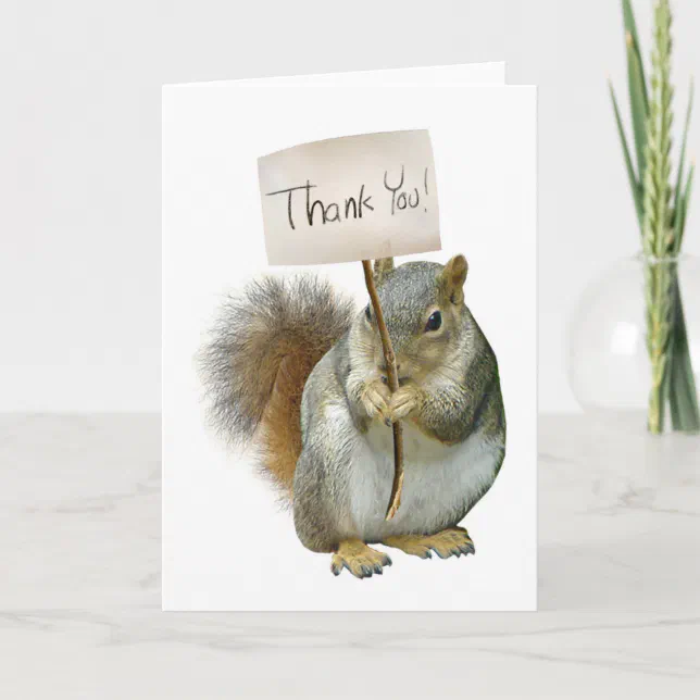 Squirrel Thank You Card | Zazzle