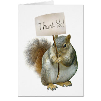 Squirrel Gifts on Zazzle