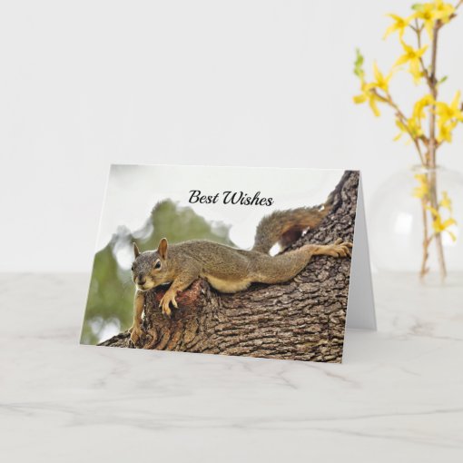 Squirrel Tree Wedding Congratulations Card | Zazzle