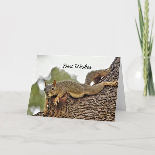 Squirrel Tree Wedding Congratulations Card | Zazzle.com