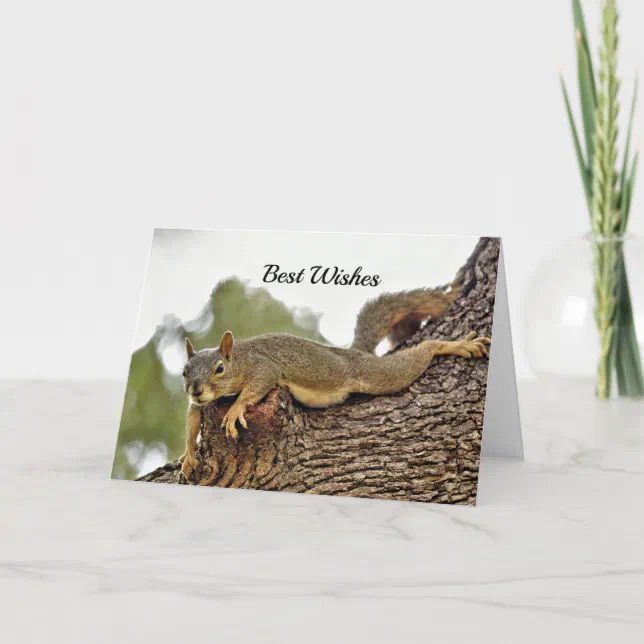 Squirrel Tree Wedding Congratulations Card | Zazzle