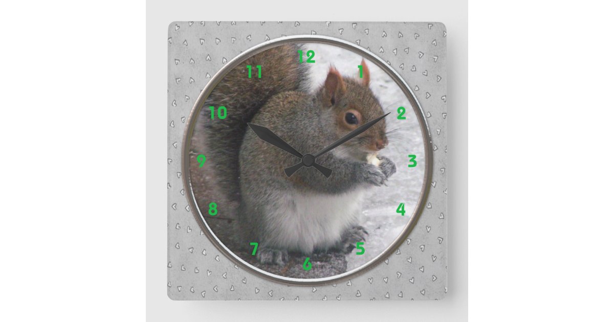 Squirrel Wall Clock | Zazzle