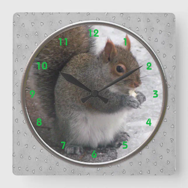 Squirrel Wall Clock | Zazzle