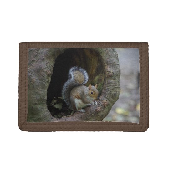 Squirrel Wallet | Zazzle.com
