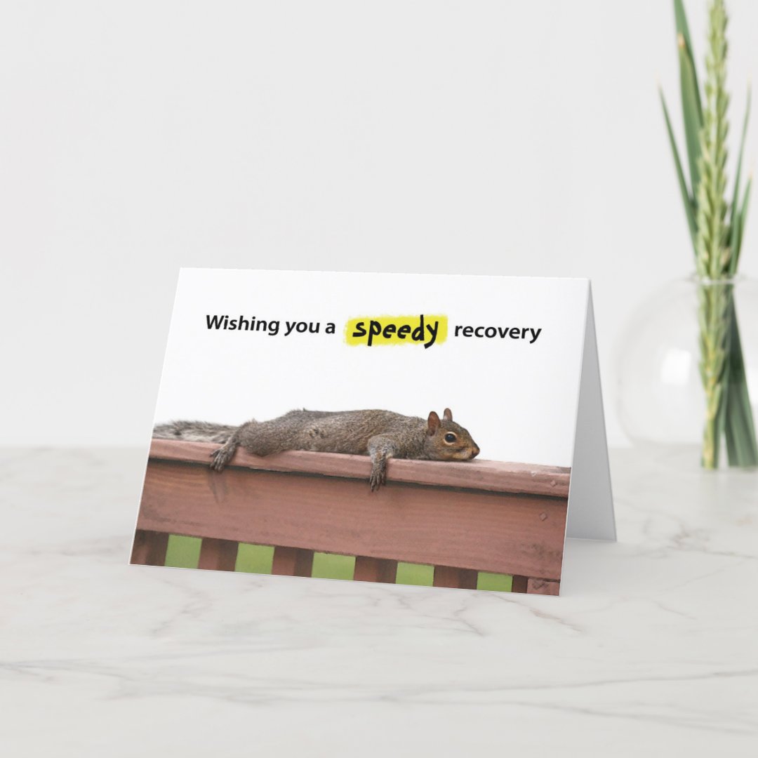 Squirrel - Wishing you a speedy recovery Card | Zazzle