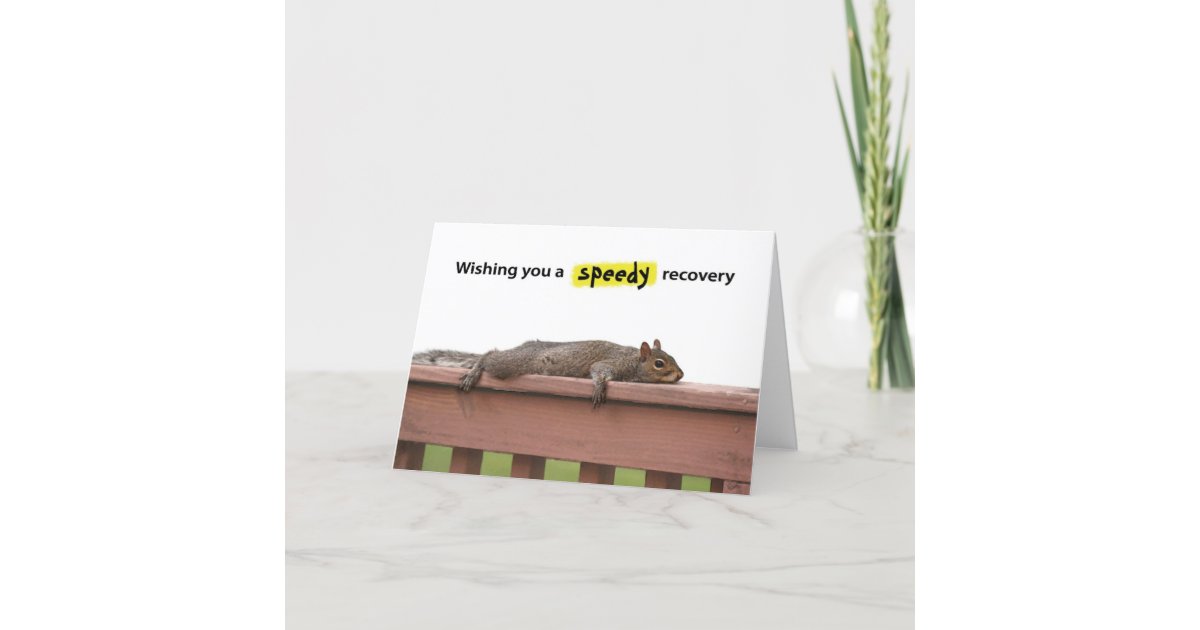 Squirrel - Wishing you a speedy recovery Card | Zazzle