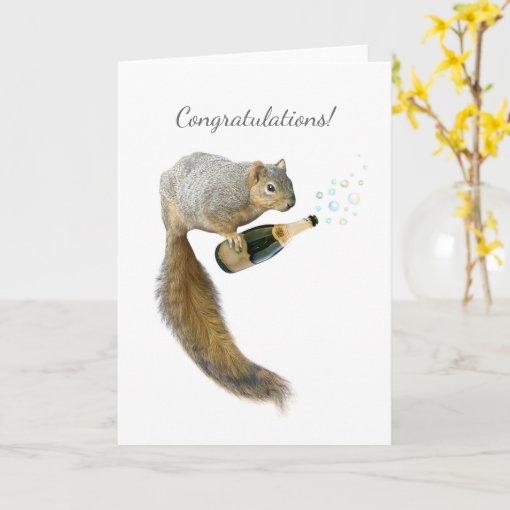 Squirrel with Champagne Congratulations Card | Zazzle