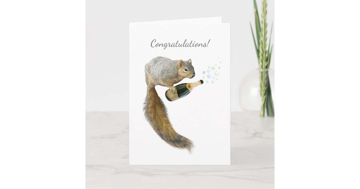 Squirrel with Champagne Congratulations Card | Zazzle