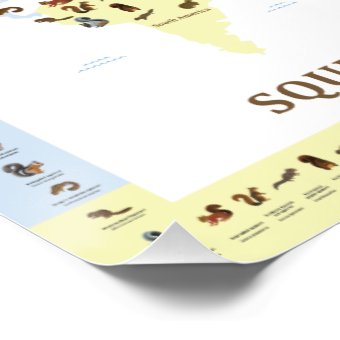 Squirrel World Map Poster | Zazzle