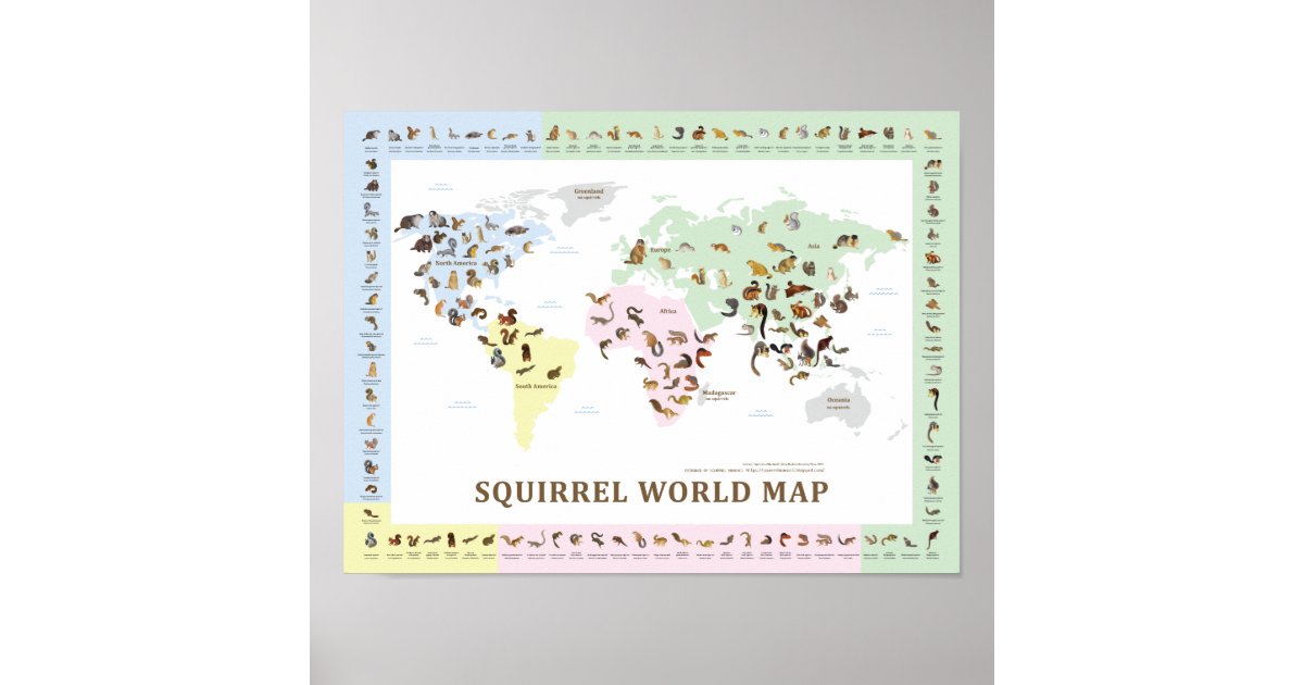 Squirrel World Map Poster | Zazzle
