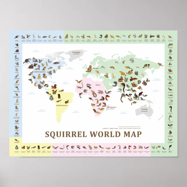 Squirrel World Map Poster | Zazzle
